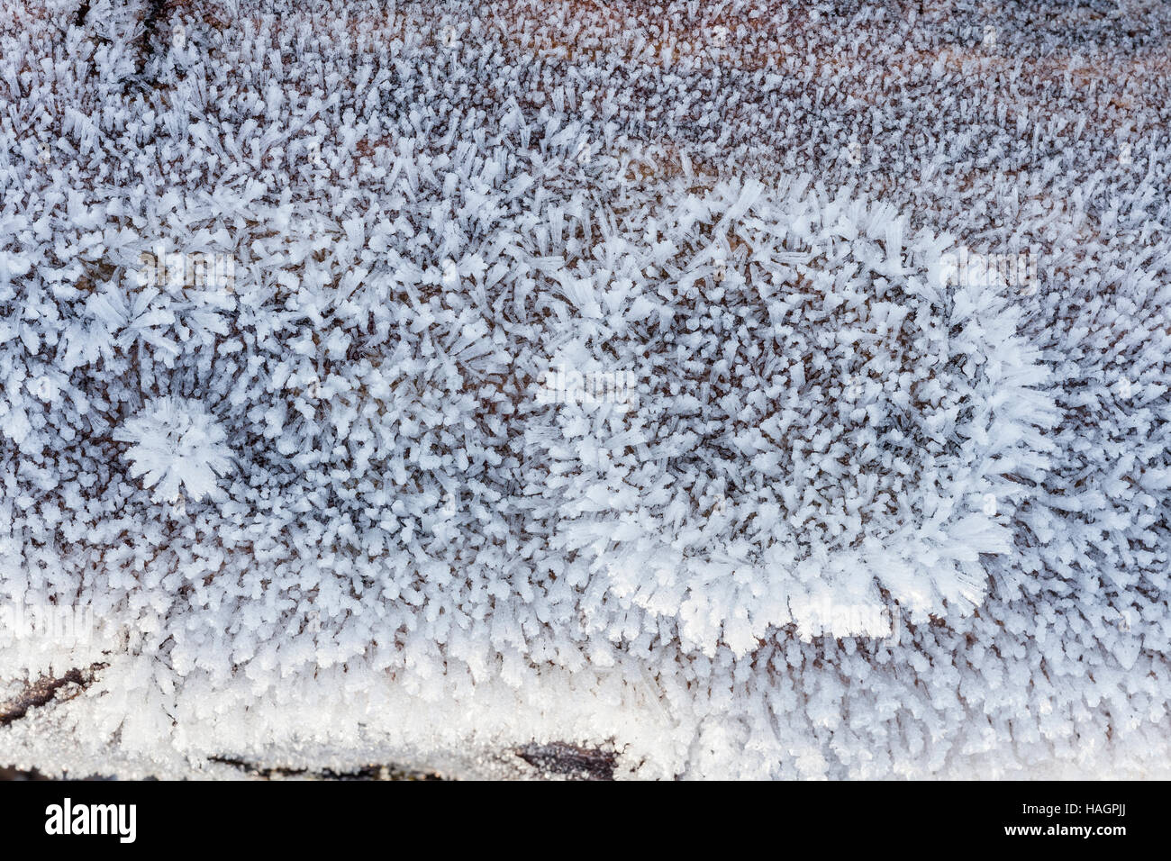 Frost ring hi-res stock photography and images - Alamy