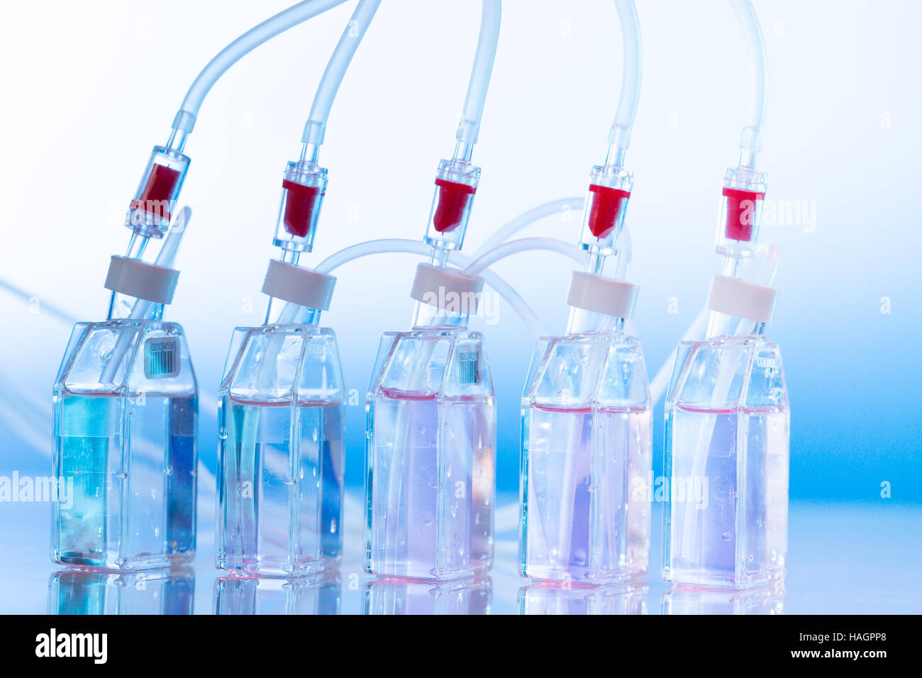 installing for growing biocultures Stock Photo - Alamy