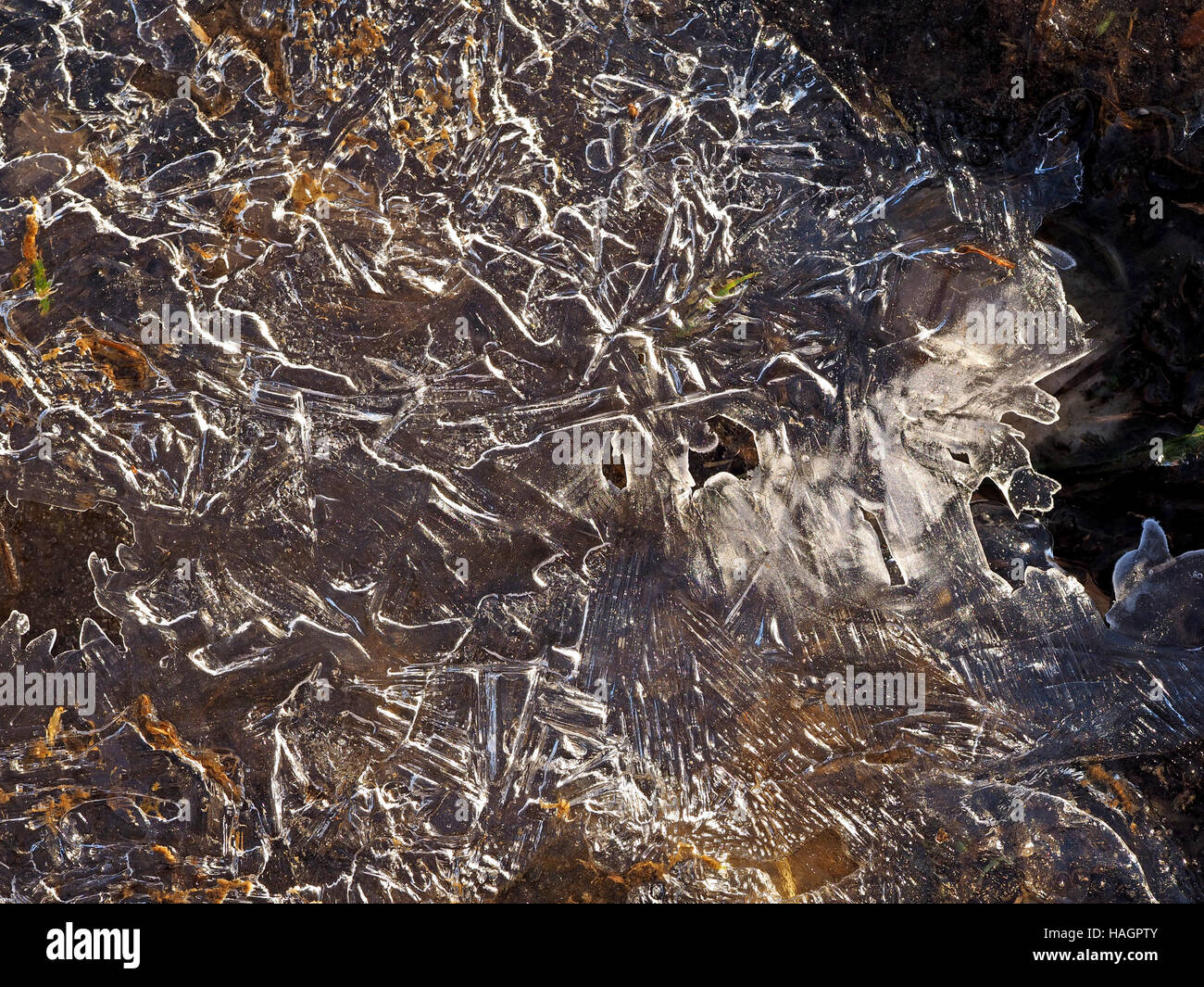 close-up of sparkling frost crystals on picturesque sheet of frozen icy ...