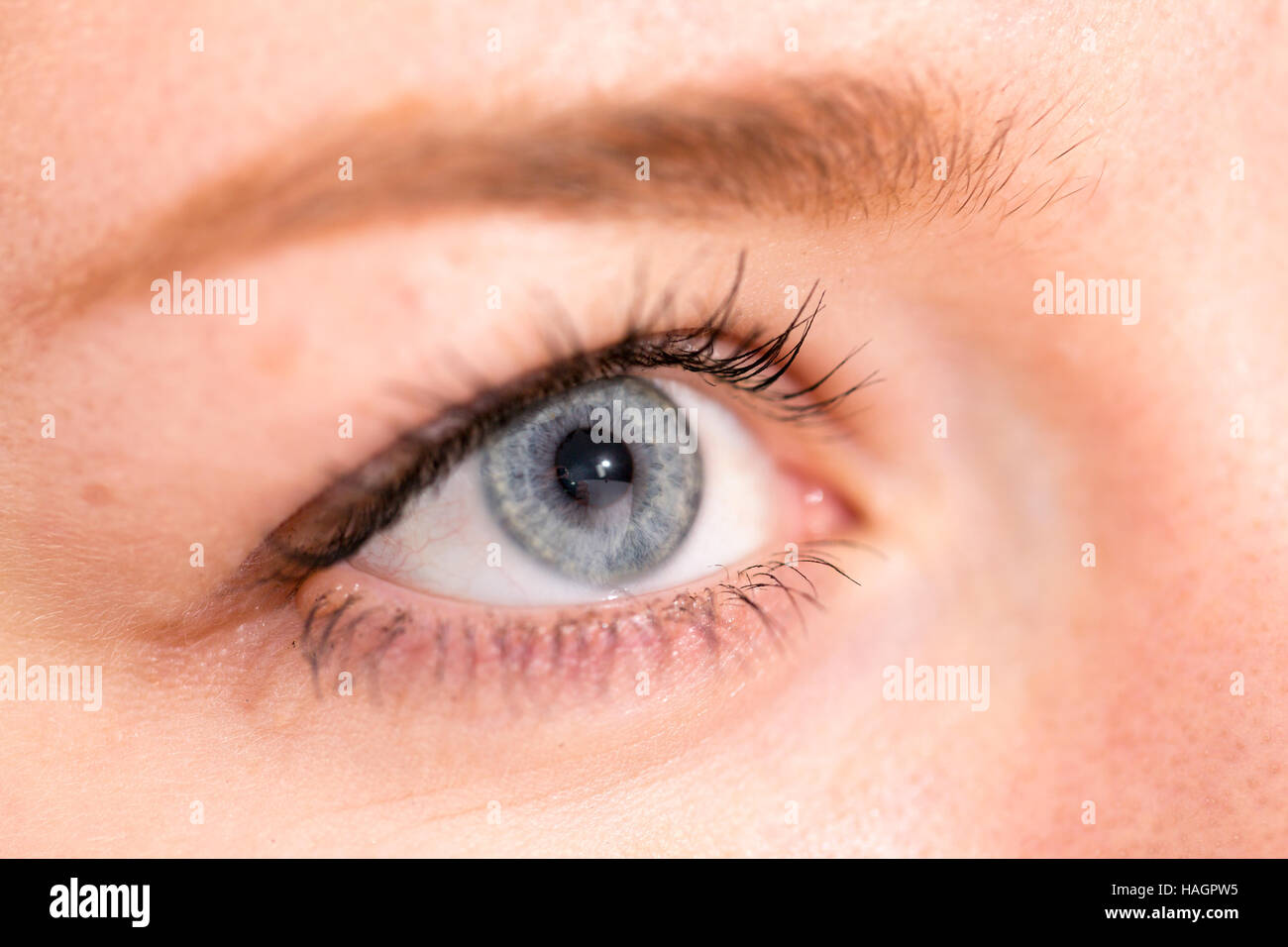 close-up of eye Stock Photo - Alamy