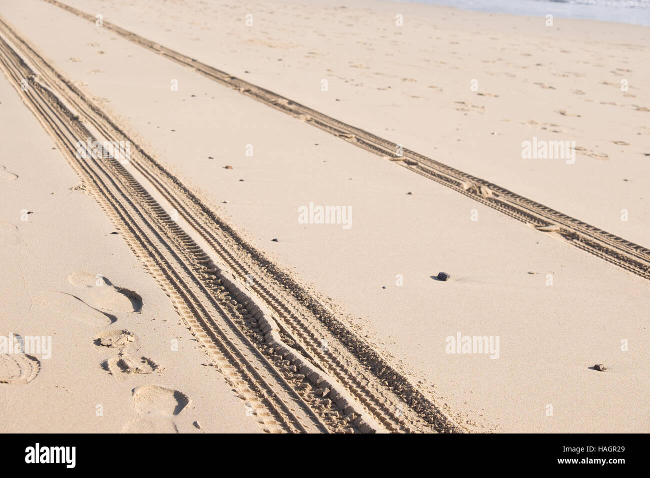 car track on sand in desert Stock Photo - Alamy