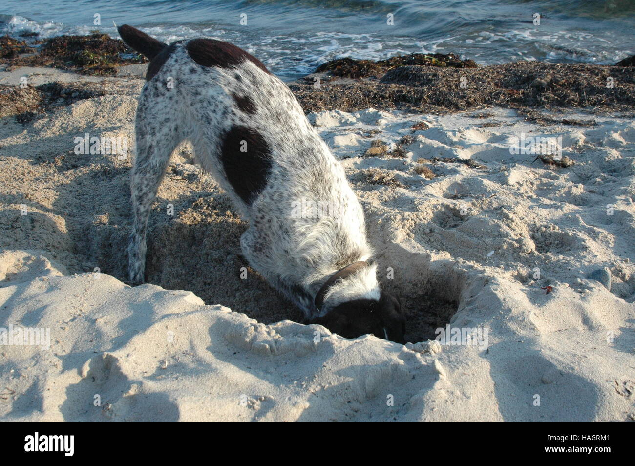 Dig a deep hole hi-res stock photography and images - Alamy