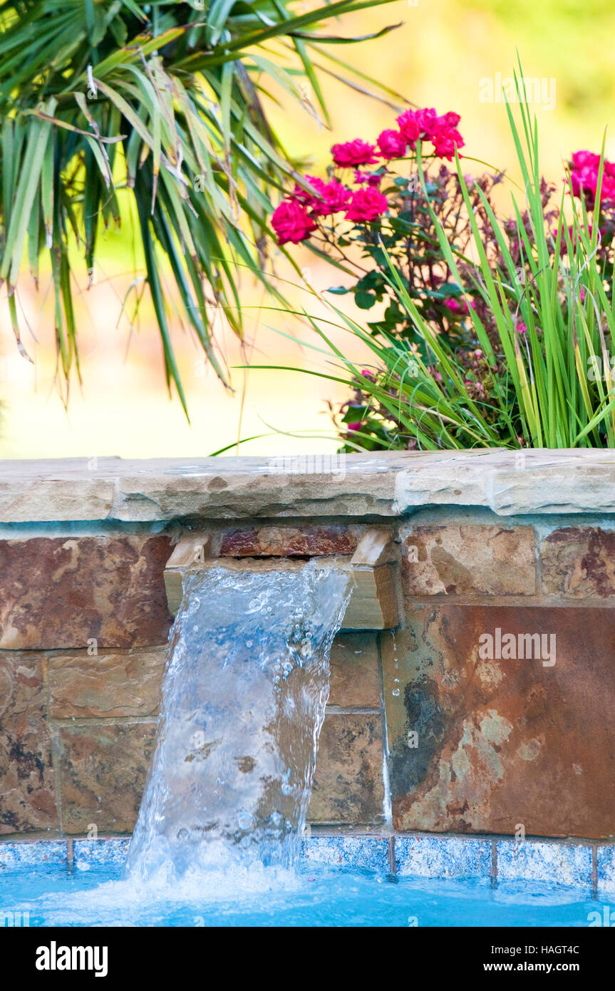 Beautiful swimming pool with flagstone waterfall and pink roses in a ...