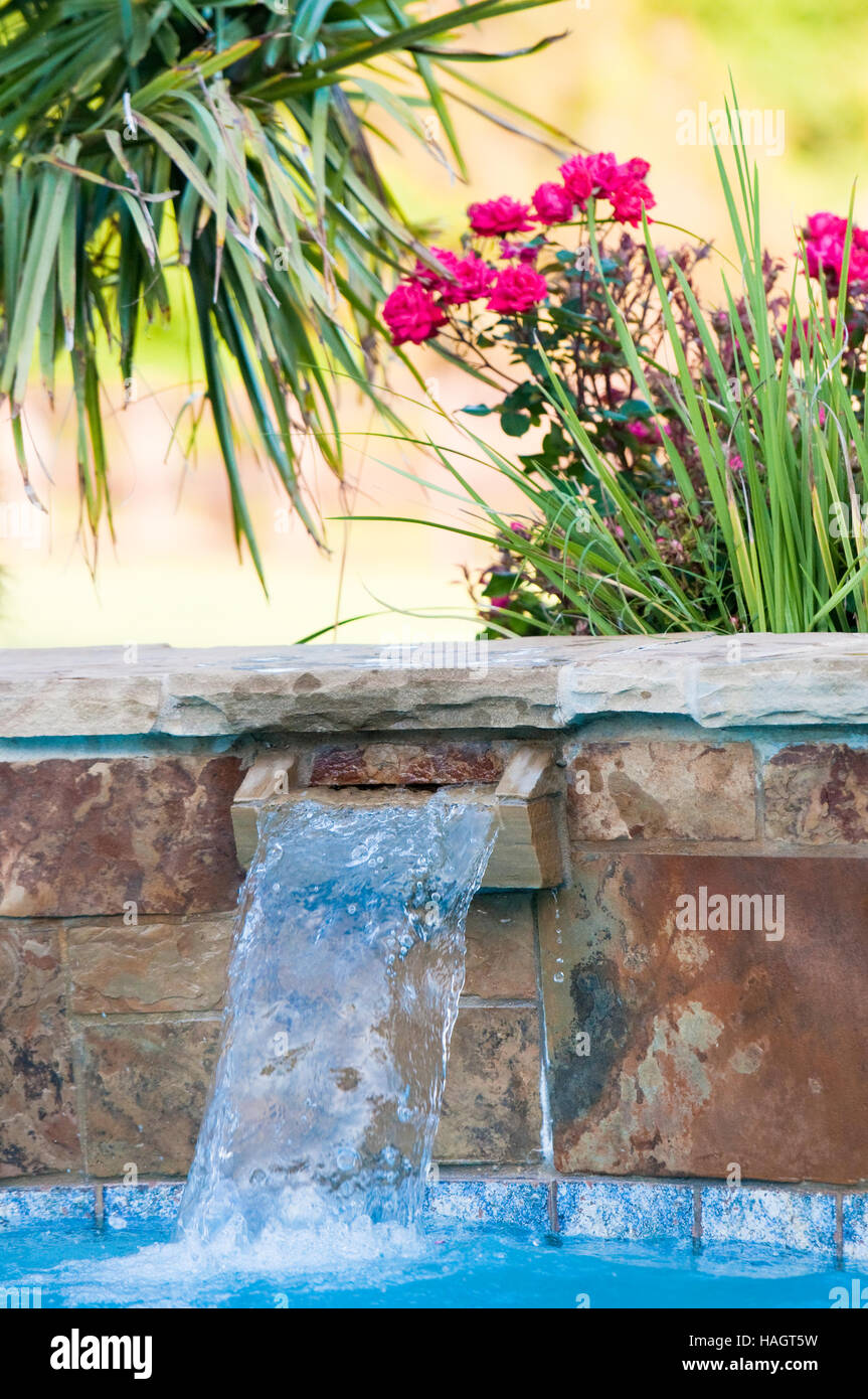 Beautiful swimming pool with flagstone waterfall and pink roses in a ...