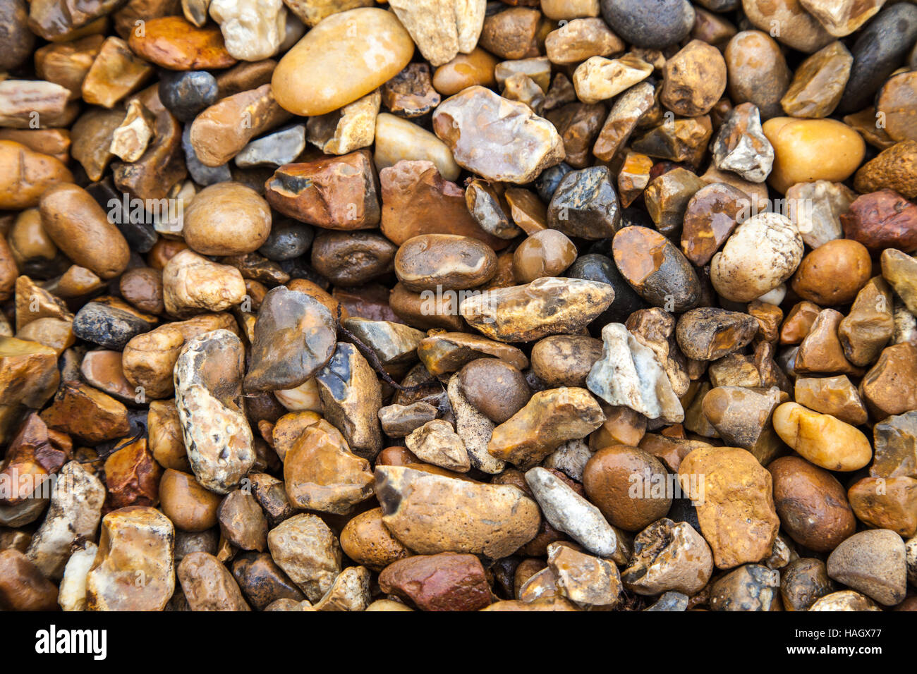 Small shingle used for ground cover in the garden Stock Photo - Alamy