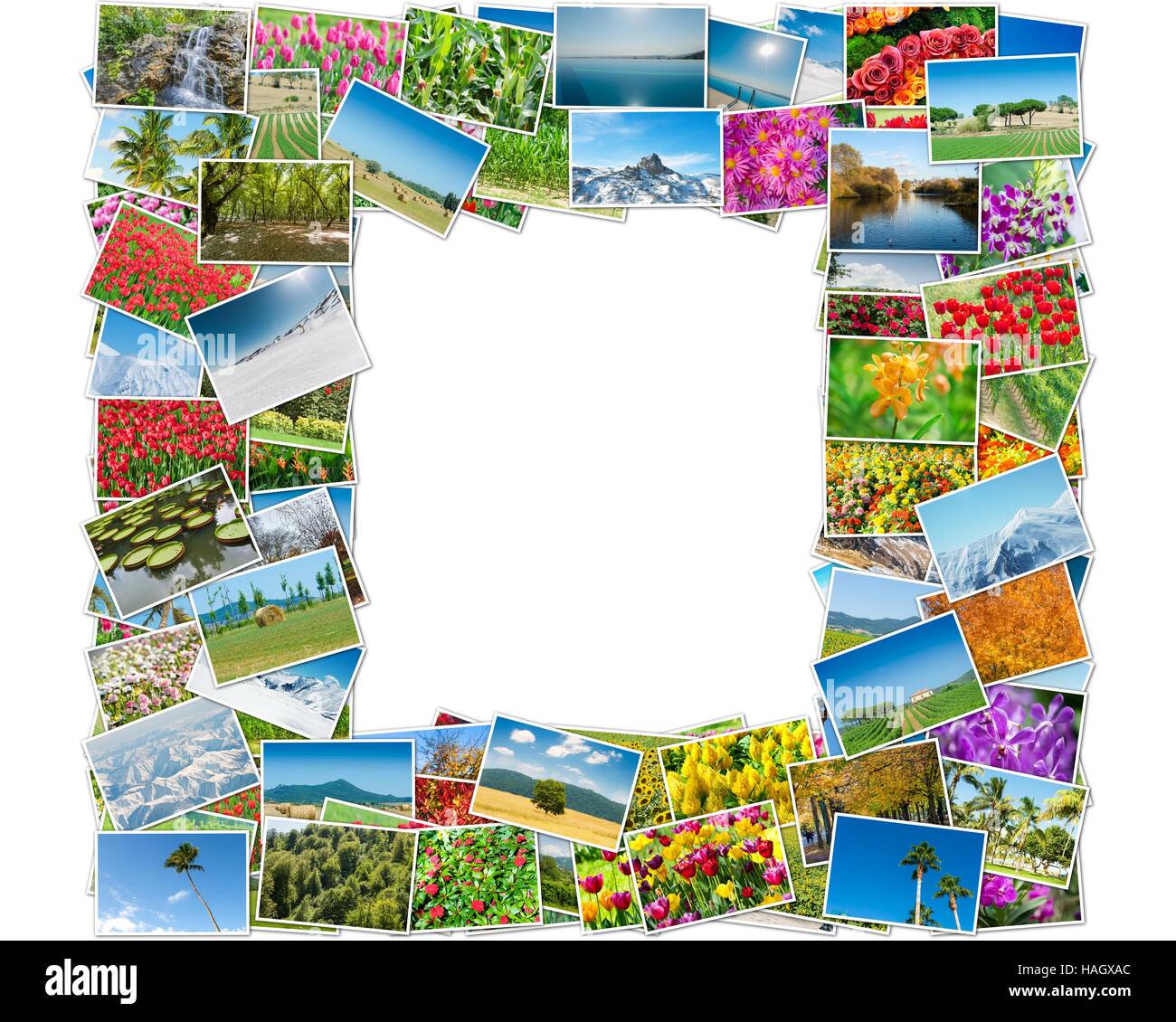 Frame made of various nature photos Stock Photo - Alamy