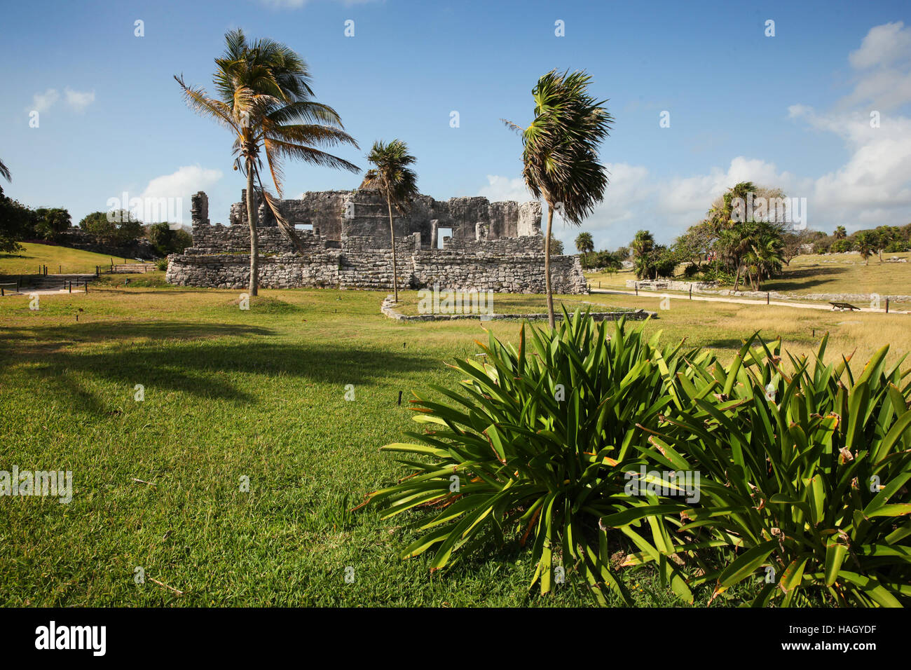Mayan pre columbian architecture hi-res stock photography and images ...