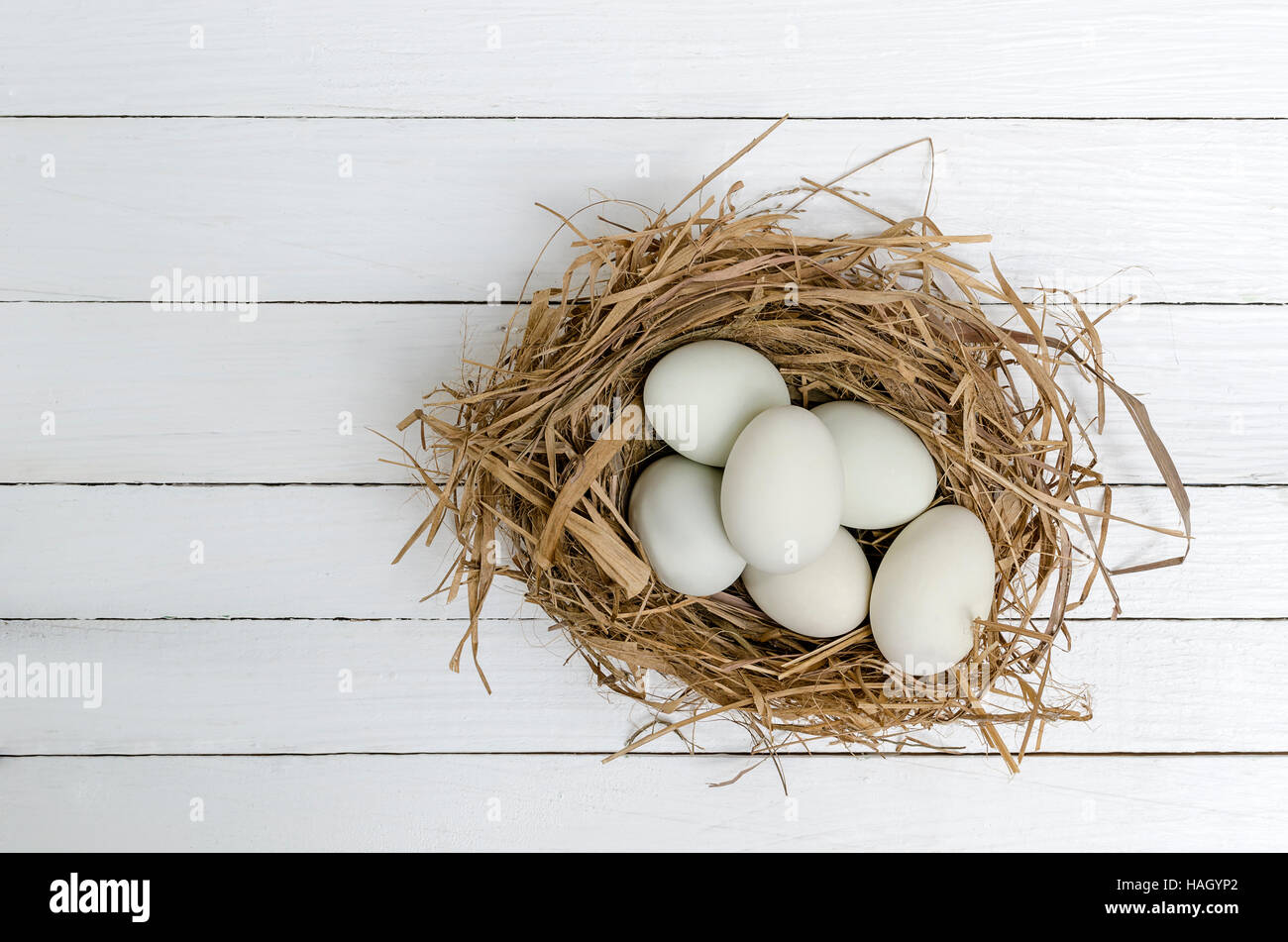 Duck eggs in a grass nest on white wooden background Stock Photo - Alamy