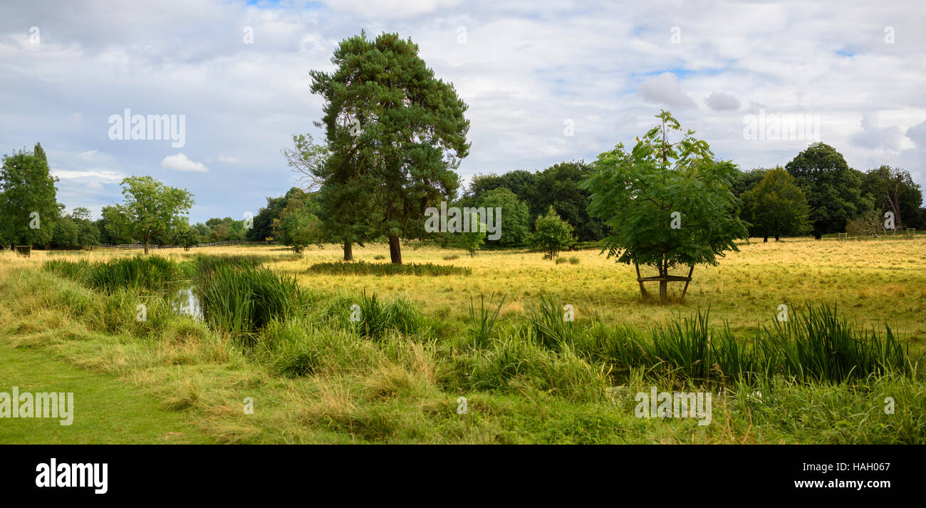 Summers day exploring the countryside Stock Photo - Alamy