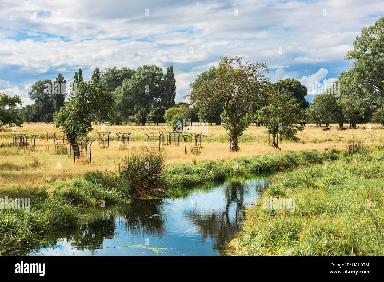 Stream flowing through English Countryside on summers day Stock Photo ...