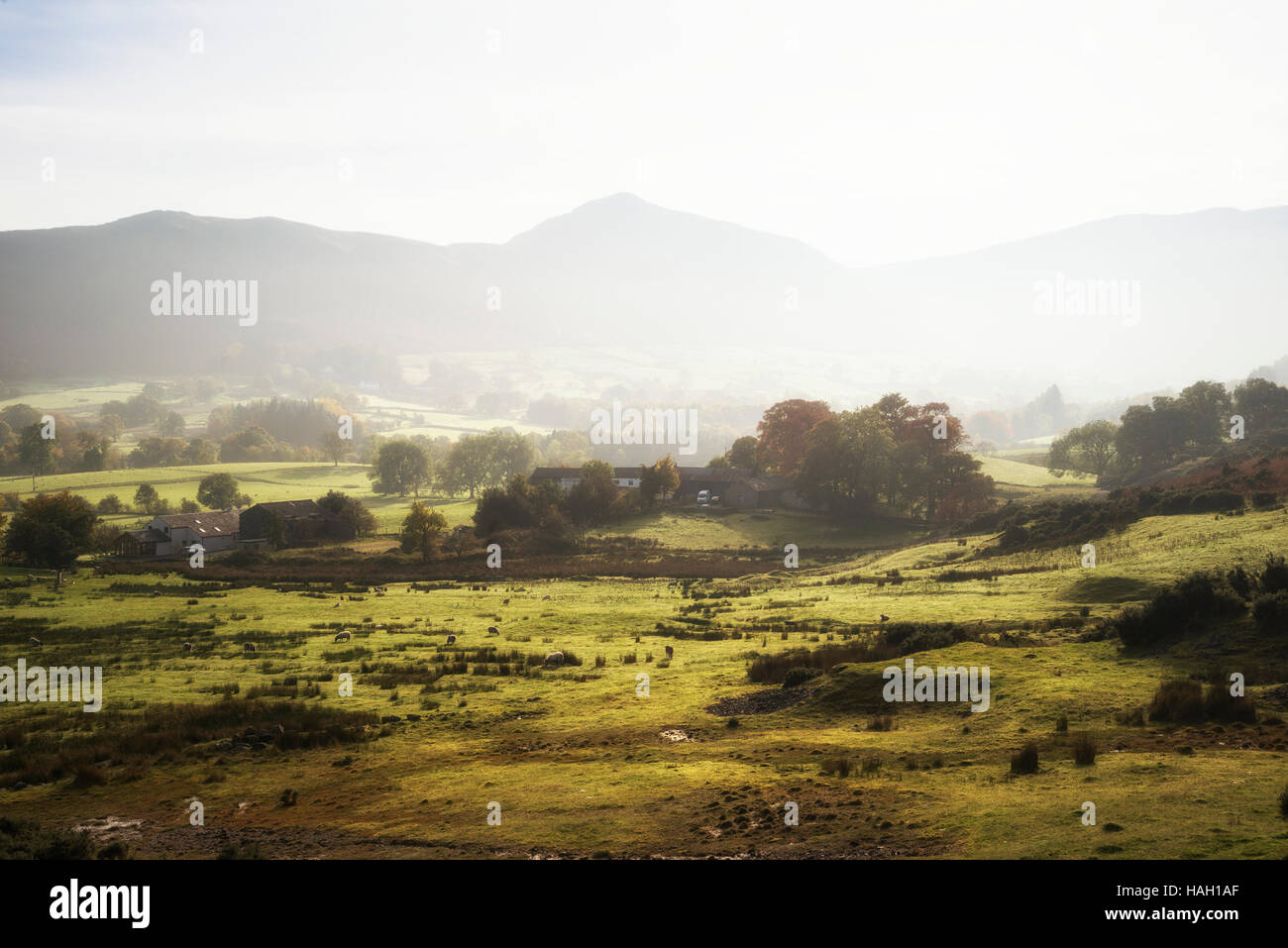 Stunning foggy Autumn Fall sunrise landscape image over countryside in ...