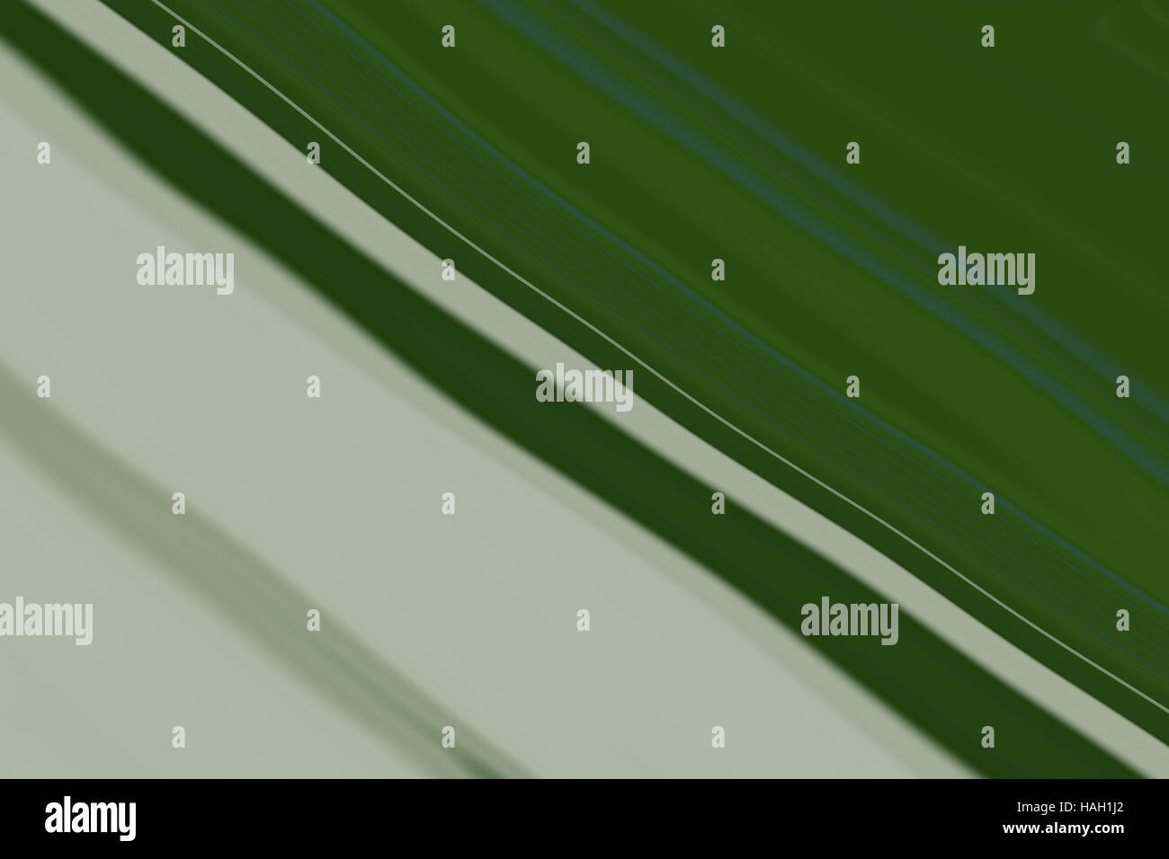 Green and white abstract background Stock Photo - Alamy