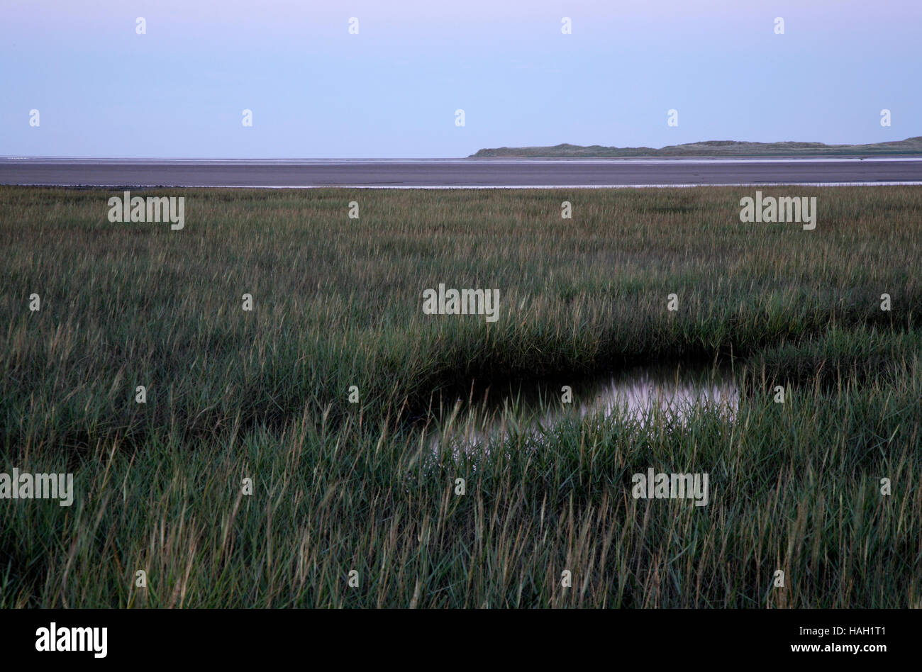 View over Goswick Sands to Snook Point on Holy Island, Northumberland ...