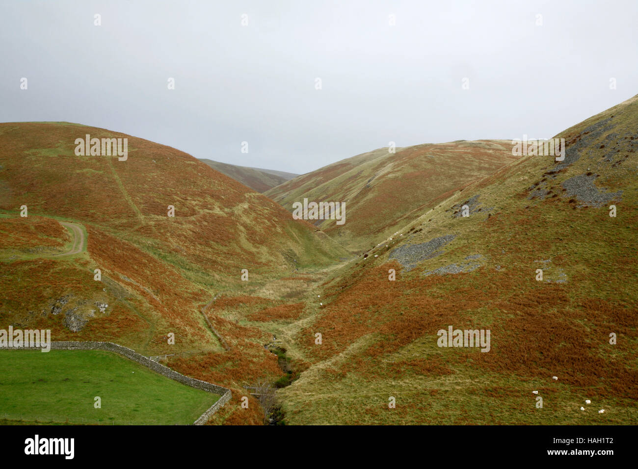 Upper Coquetdale in The Cheviots, Northumberland, England, UK Stock ...