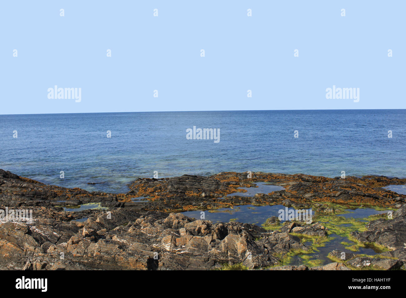 Rock pools and seaweed Stock Photo - Alamy
