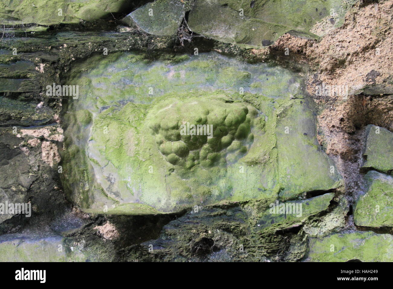 ISLE OF MAN, UK, AUGUST 16, 2016: The touchstone in the Church Tower at ...