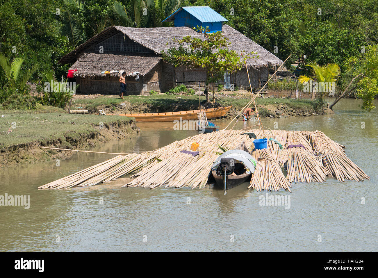 Float of bamboo that is being floated down the Kaladan River for sale i ...