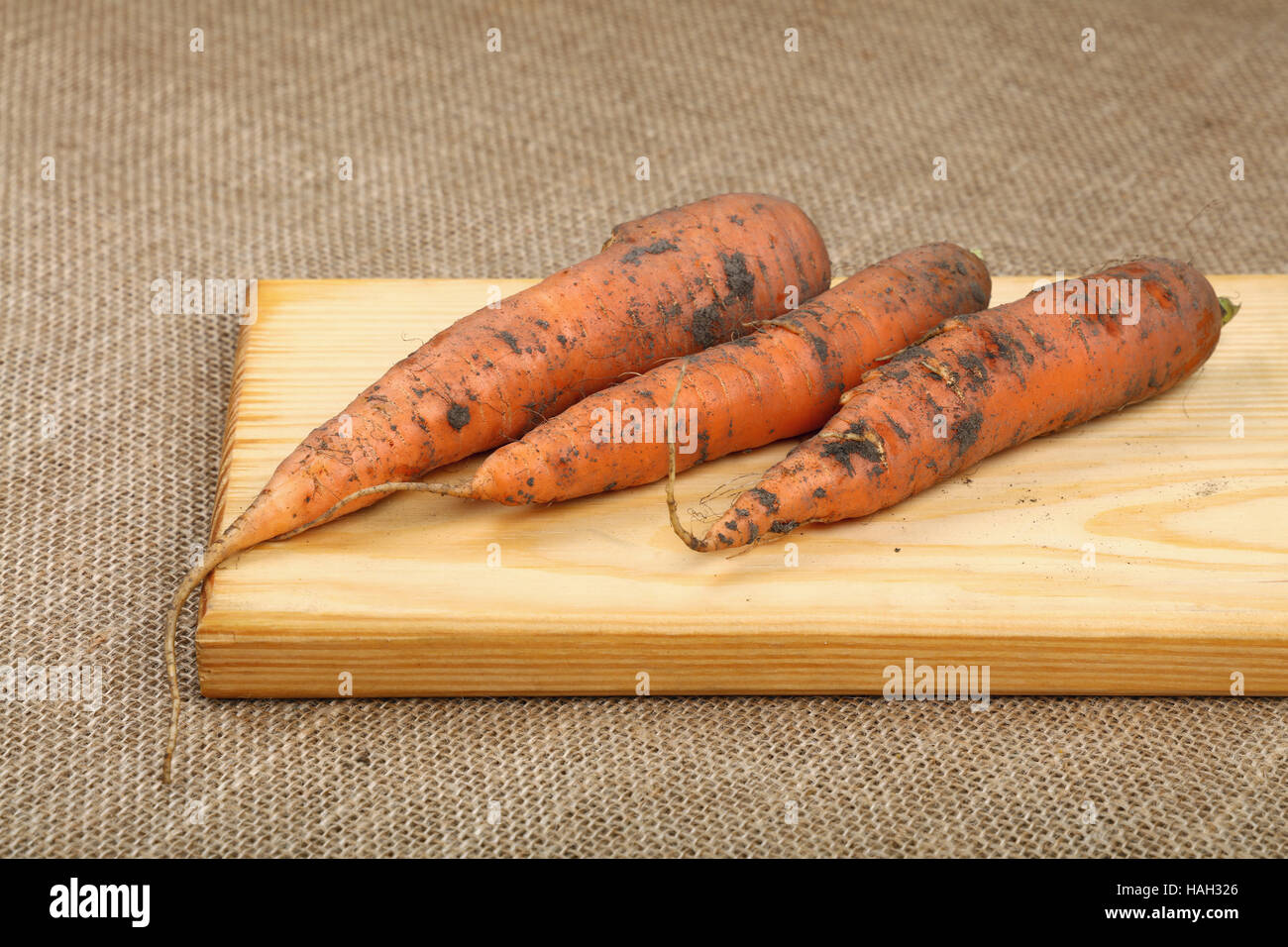 Three fresh raw dirty carrots with ground at rustic wooden chopping ...