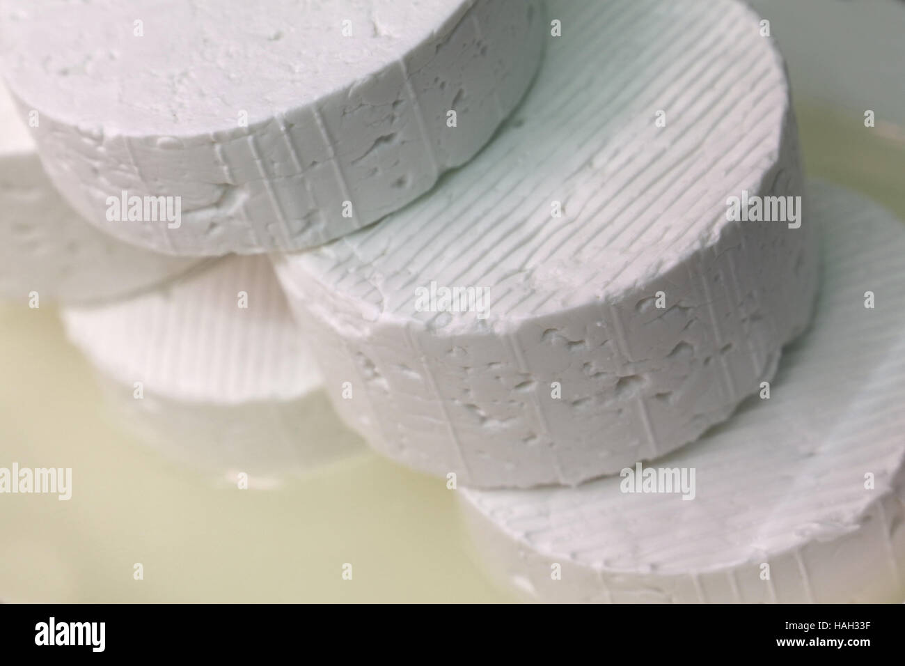 Fresh small round white pickled homemade artisan cheese (Caprino fresco ...