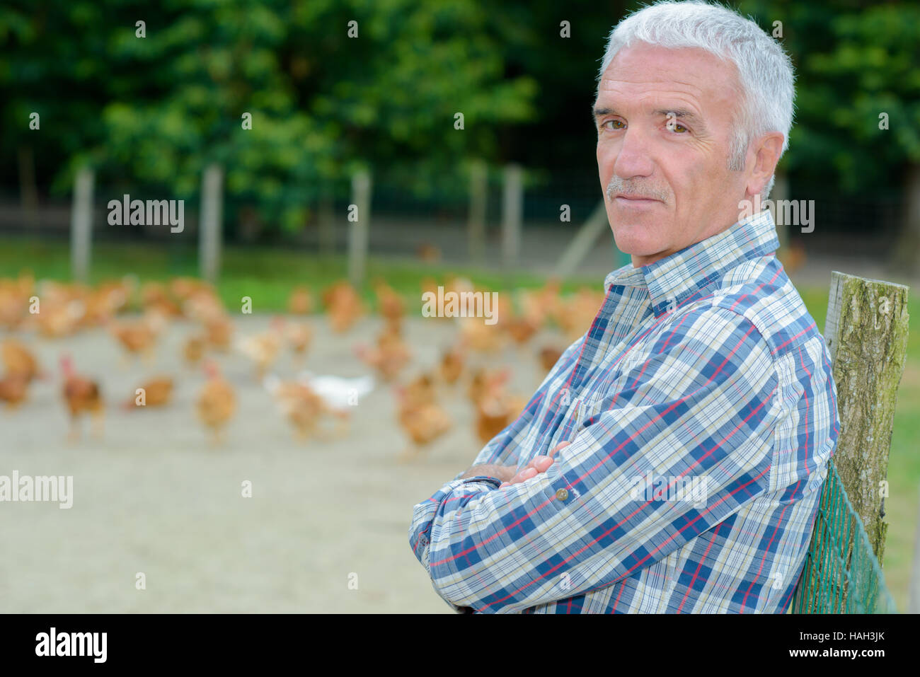 Poultry farm worker hi-res stock photography and images - Alamy