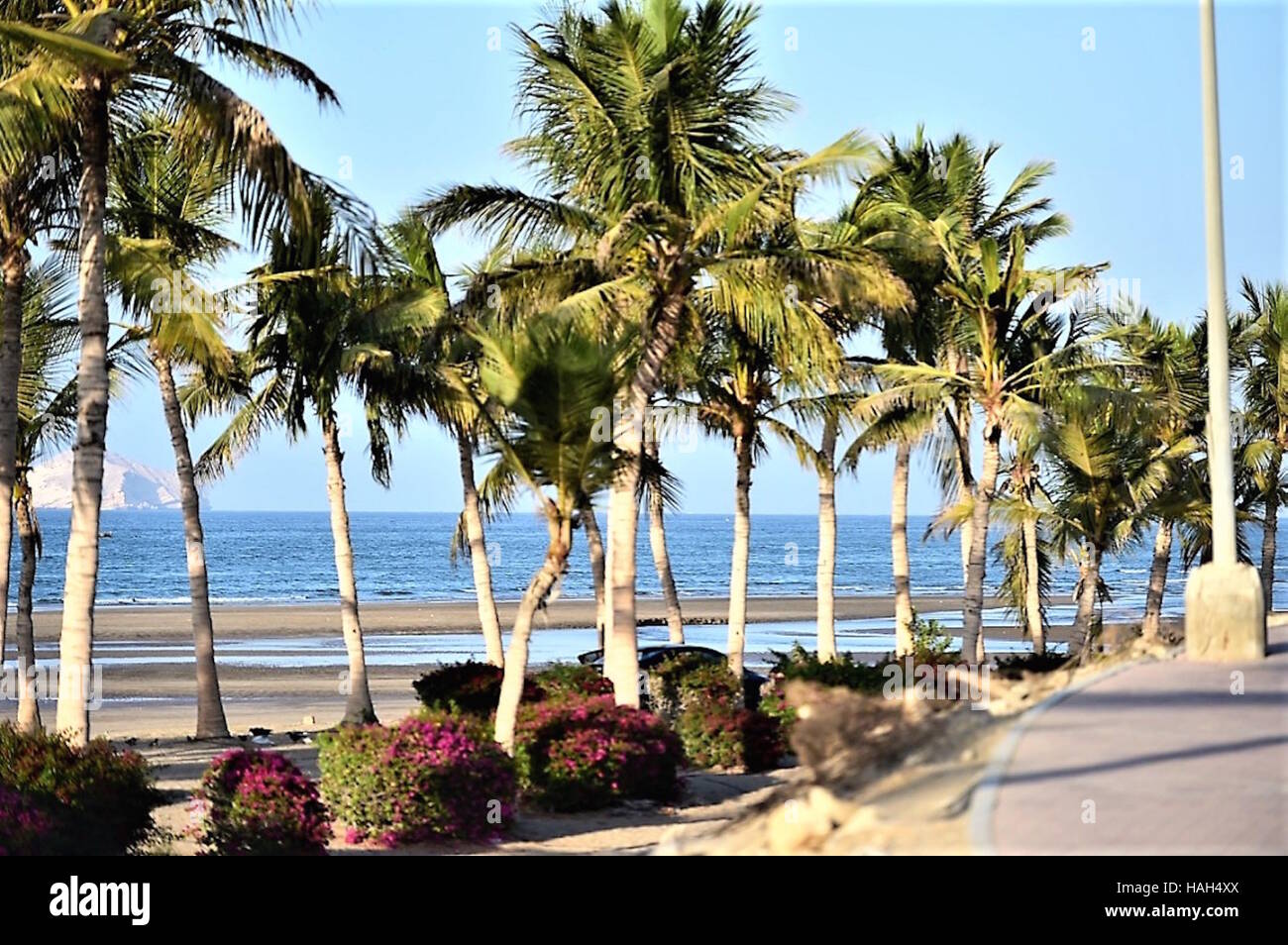 Along the coast in Muscat, Oman Stock Photo - Alamy