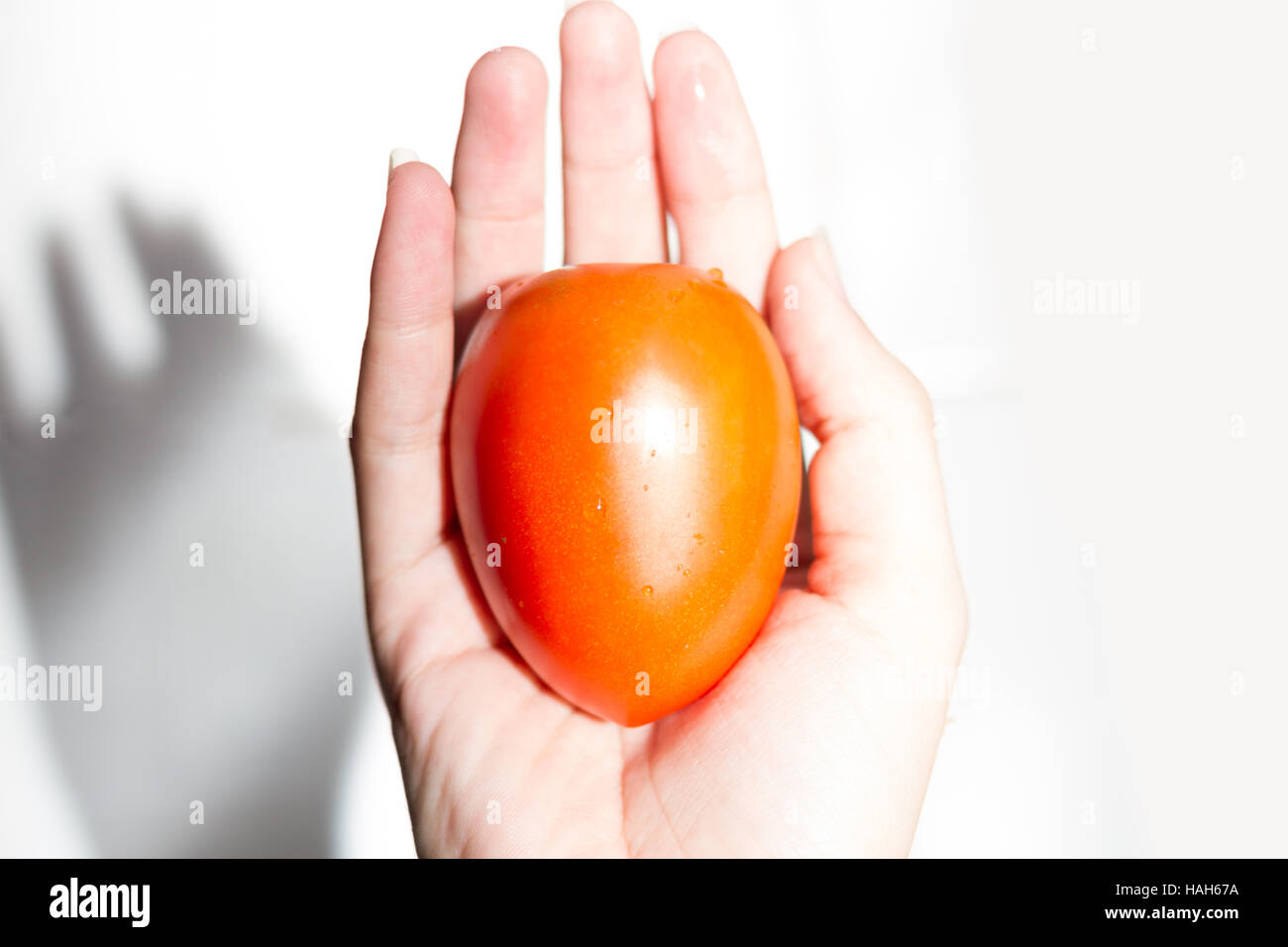 One tomato cut hi-res stock photography and images - Alamy