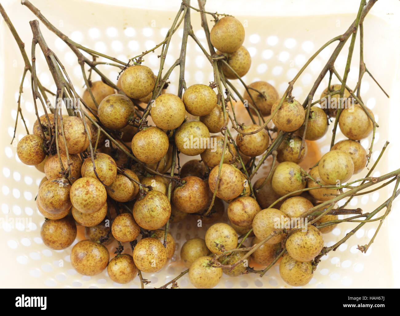 Fresh longan on the white background Stock Photo - Alamy