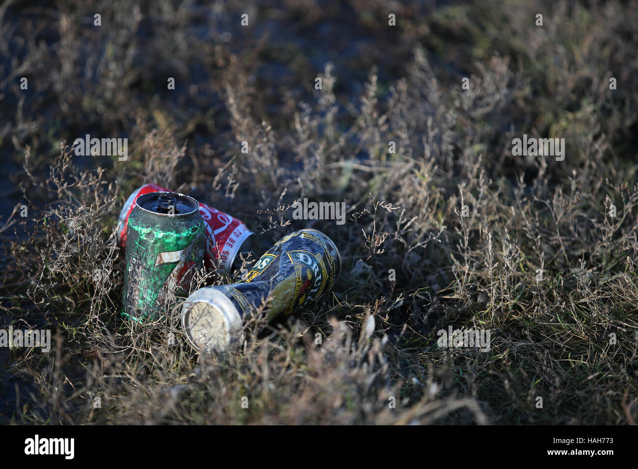 Washed up cans lie in the grass as a Birdwatch Ireland led team ...