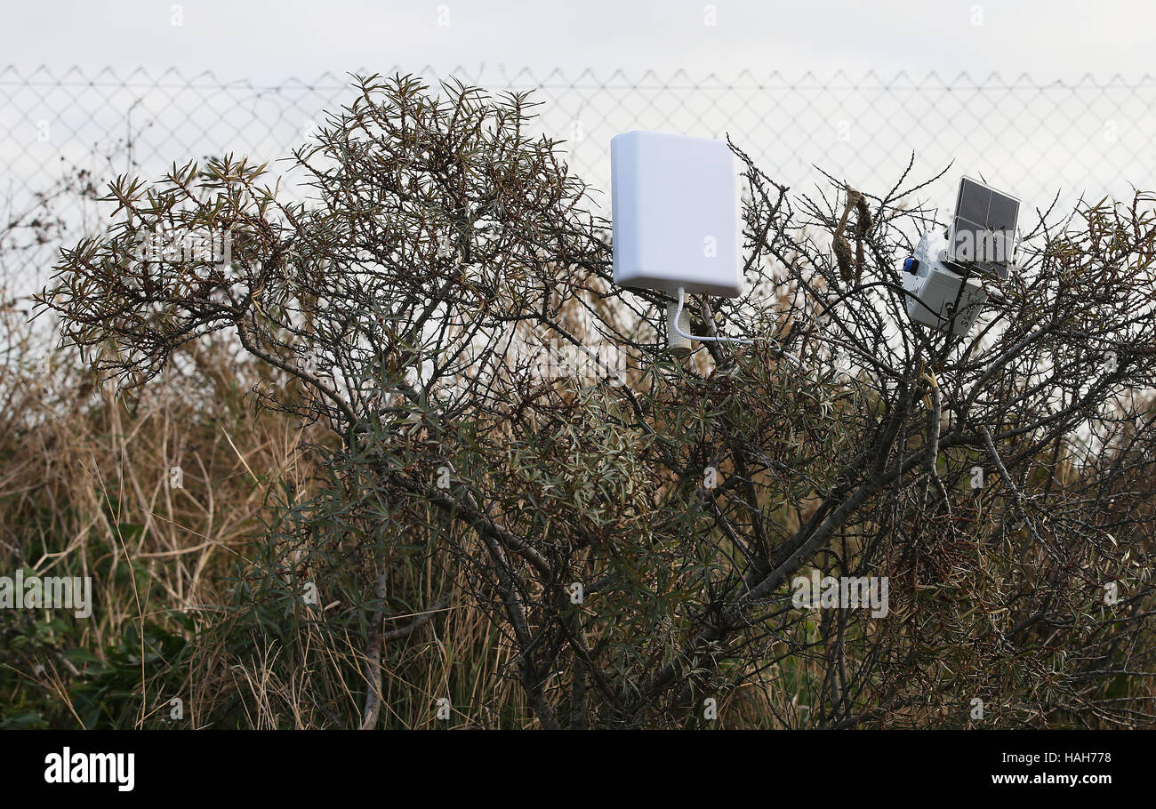 A GPS tracking device sits in a tree as a Birdwatch Ireland led team ...