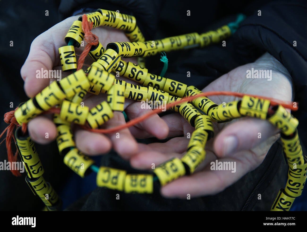 Tagging rings hi-res stock photography and images - Alamy