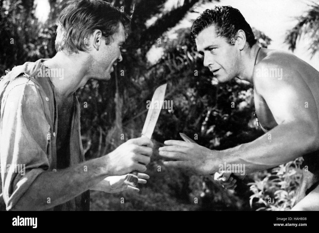 Tarzan the Magnificent Year : 1960 UK Director : Robert Day Jock ...