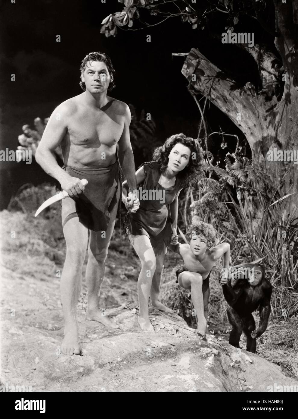 Tarzan's Secret Treasure Year : 1941 - USA Johnny Weissmuller, Maureen ...