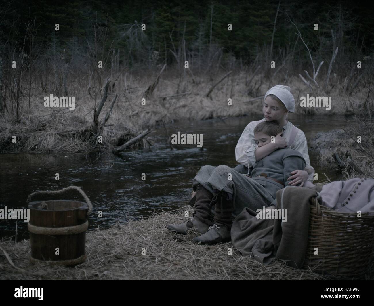 The VVitch: A New-England Folktale Year : 2015 USA / UK Director ...