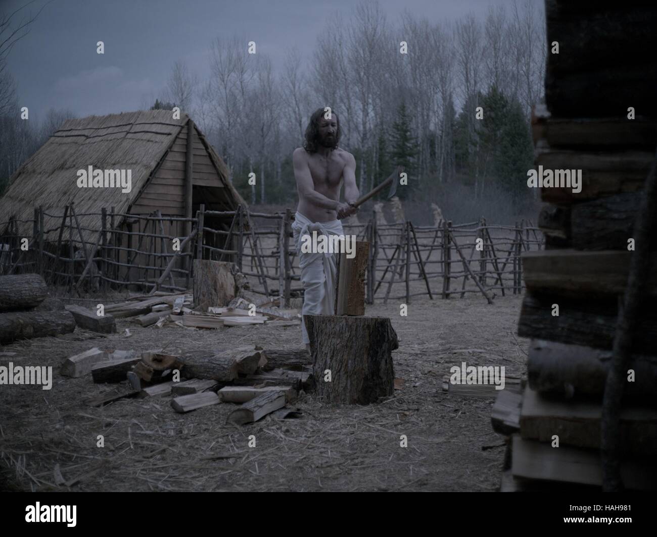 The VVitch: A New-England Folktale Year : 2015 USA / UK Director ...