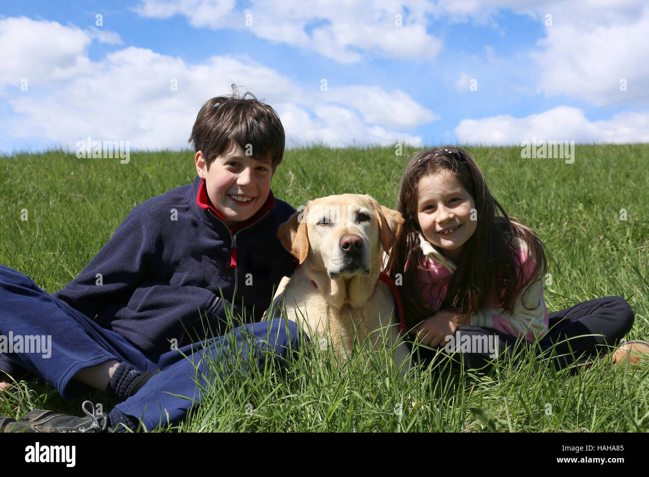 Smiling young brothers with their Labrador Retriever dog on a beautiful ...
