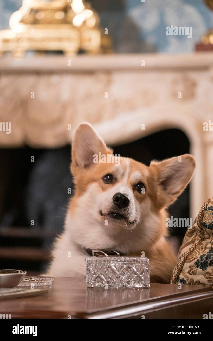 Big friendly giant roald dahl hi-res stock photography and images - Alamy