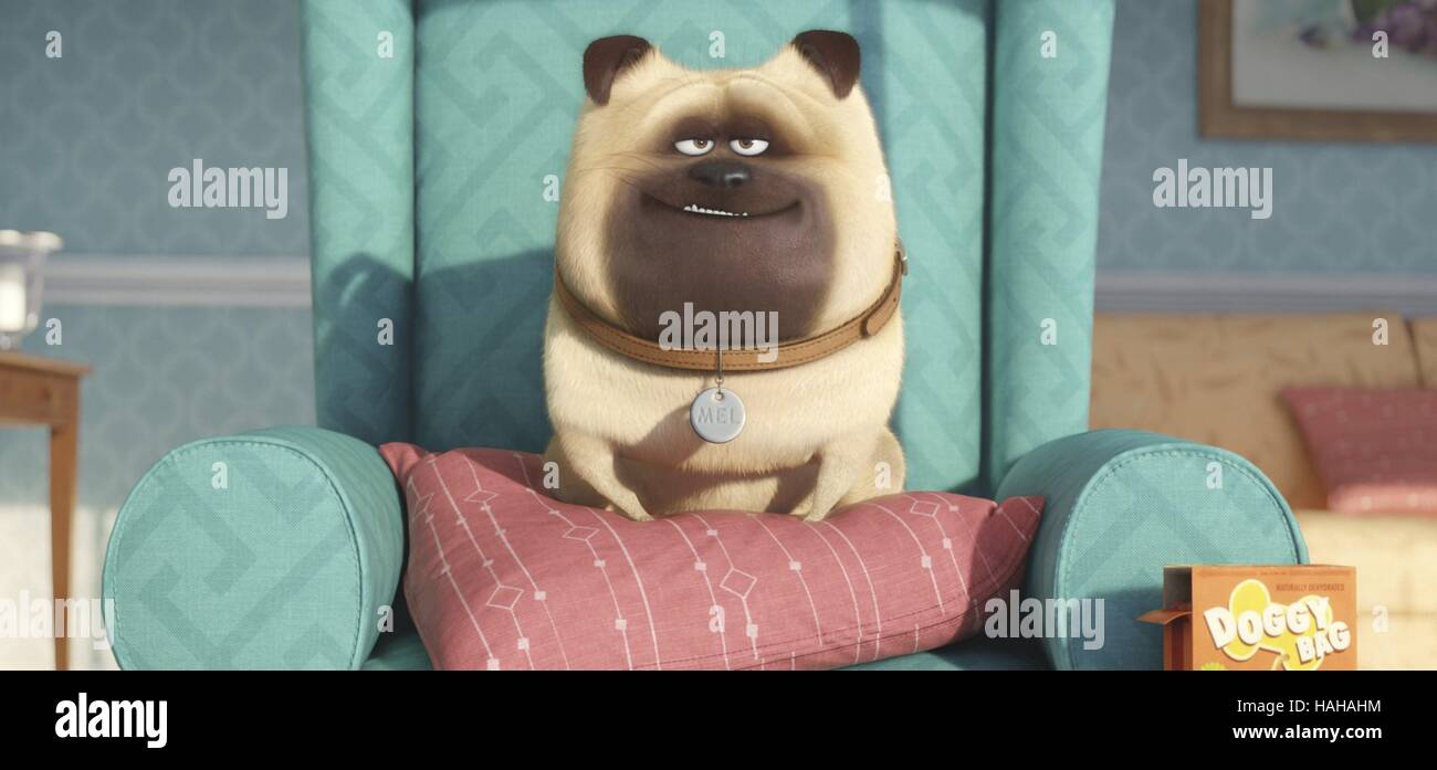 The Secret Life of Pets Year : 2016 USA / Japan Director : Yarrow ...