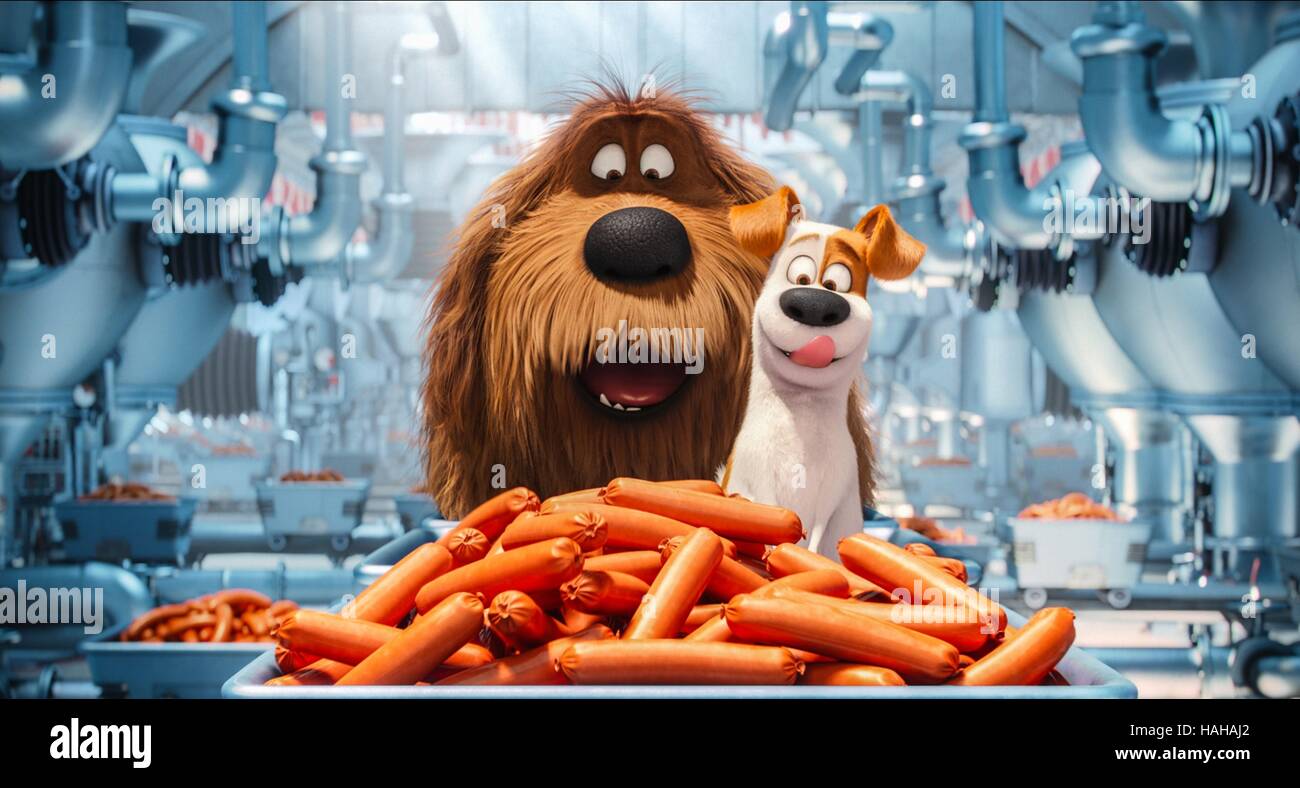 The Secret Life of Pets Year : 2016 USA / Japan Director : Yarrow ...