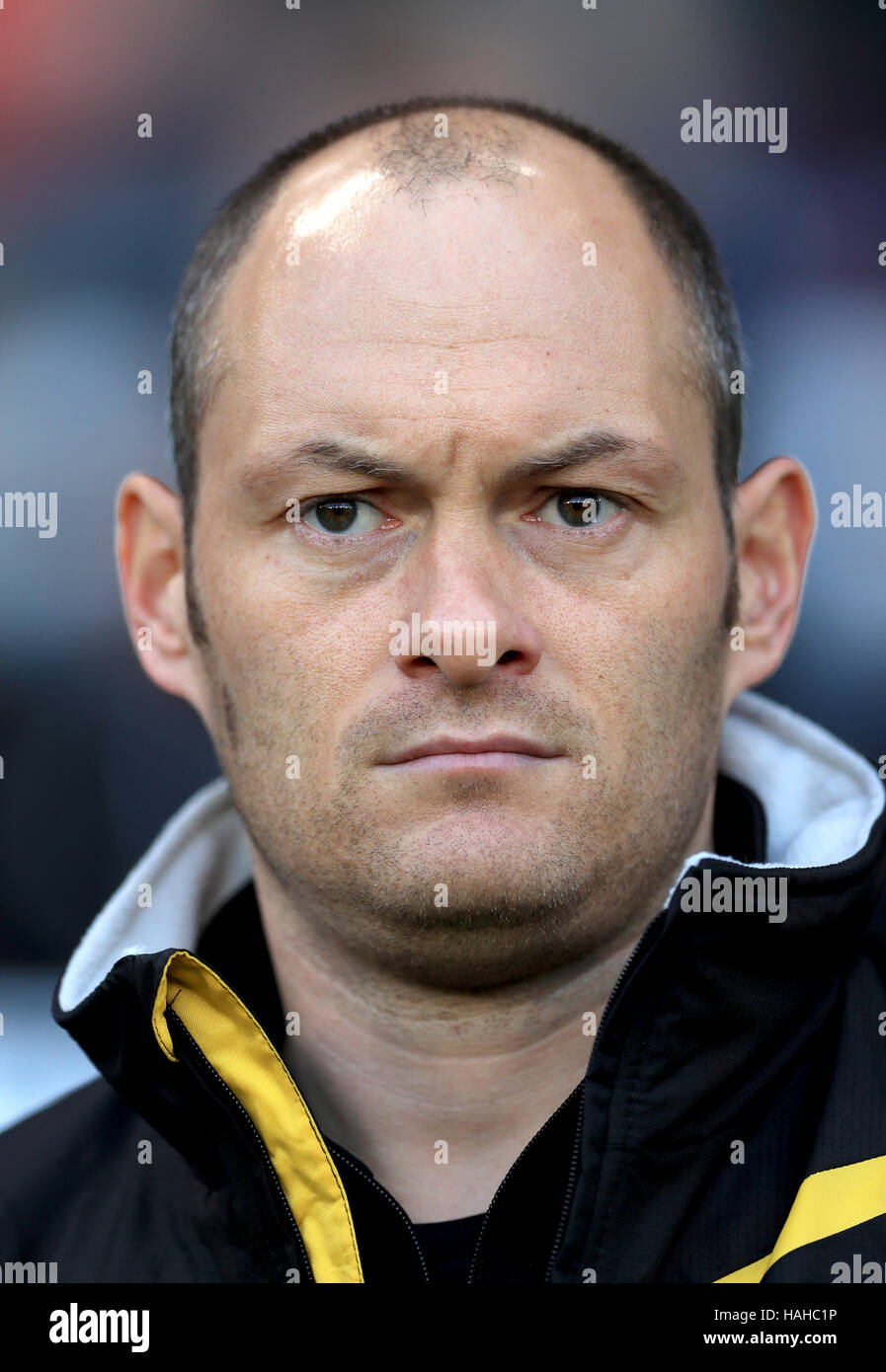 Norwich City manager Alex Neil Stock Photo - Alamy