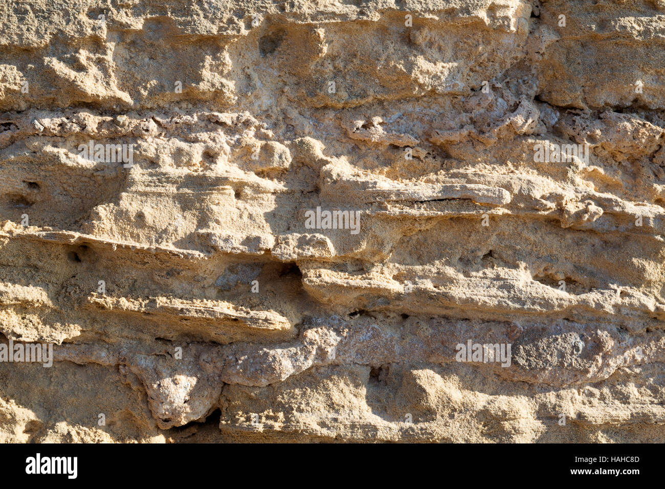 Texture background of sandstone in sunlight Stock Photo - Alamy