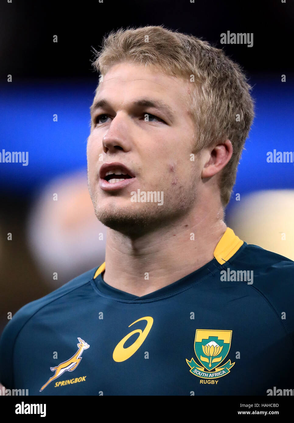 Pieter-Steph du Toit, South Africa Stock Photo - Alamy