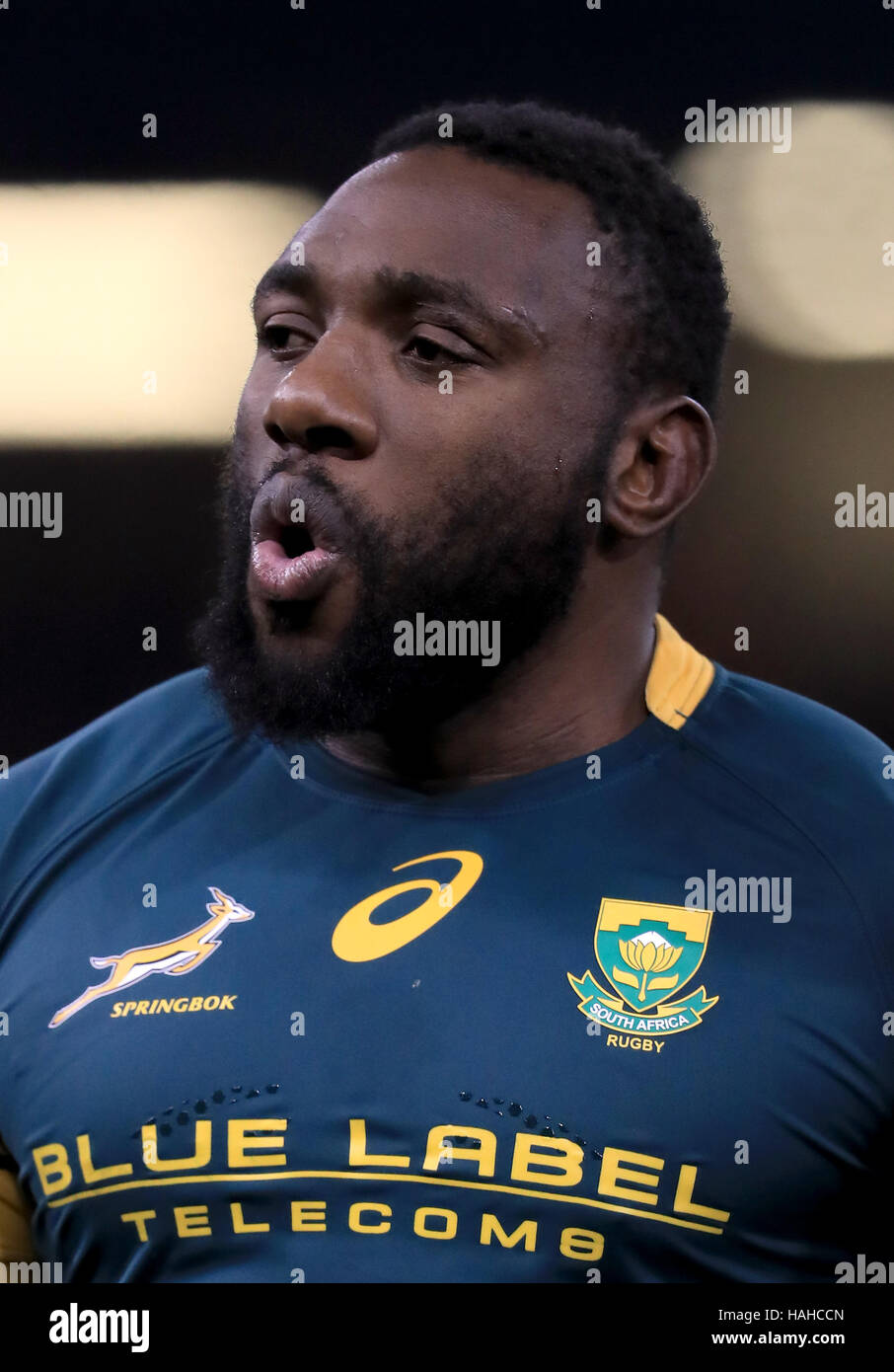 Tendai Mtawarira, South Africa Stock Photo - Alamy