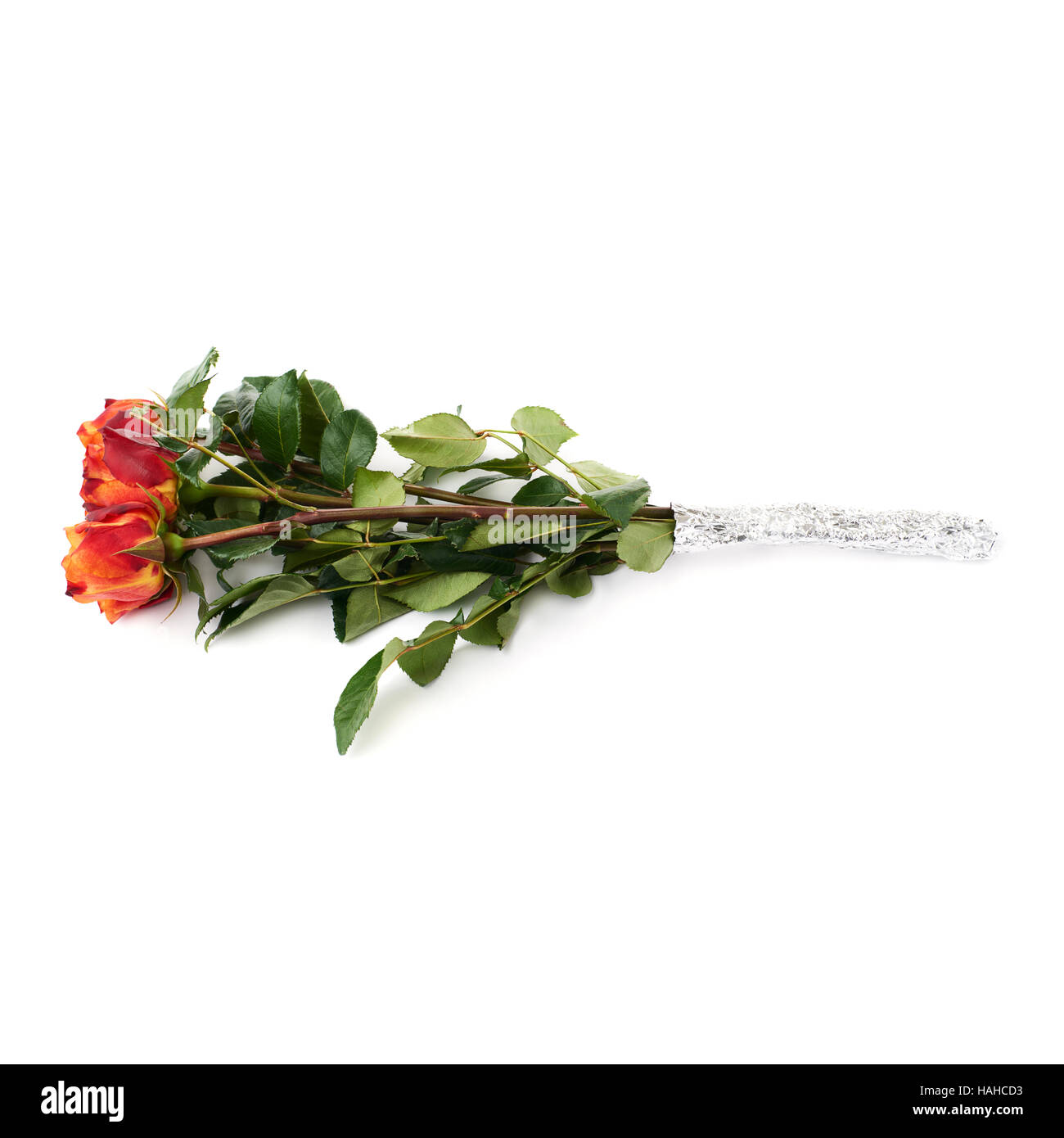 Bouquet of red orange roses over white isolated background Stock Photo ...