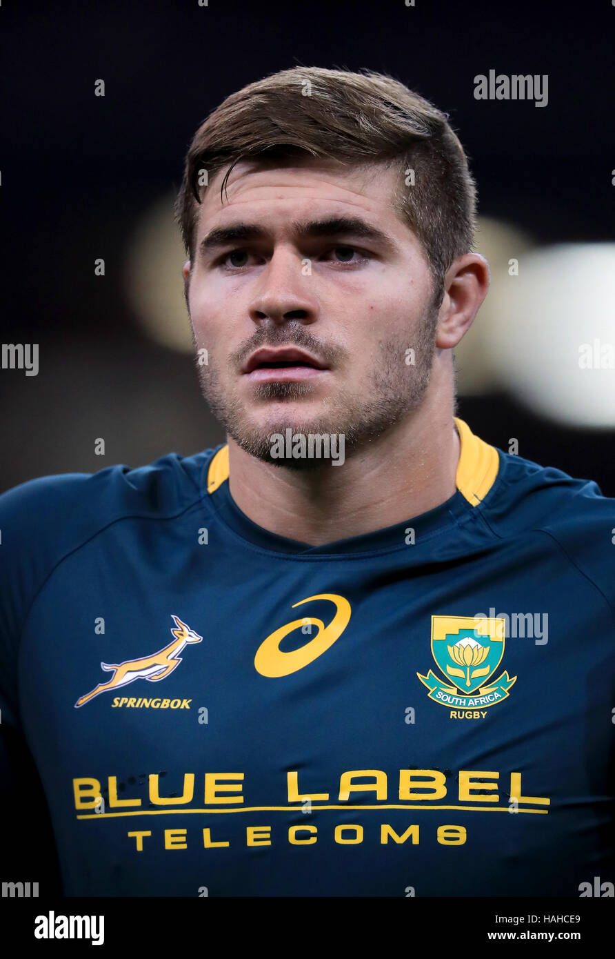 Malcolm Marx, South Africa Stock Photo - Alamy