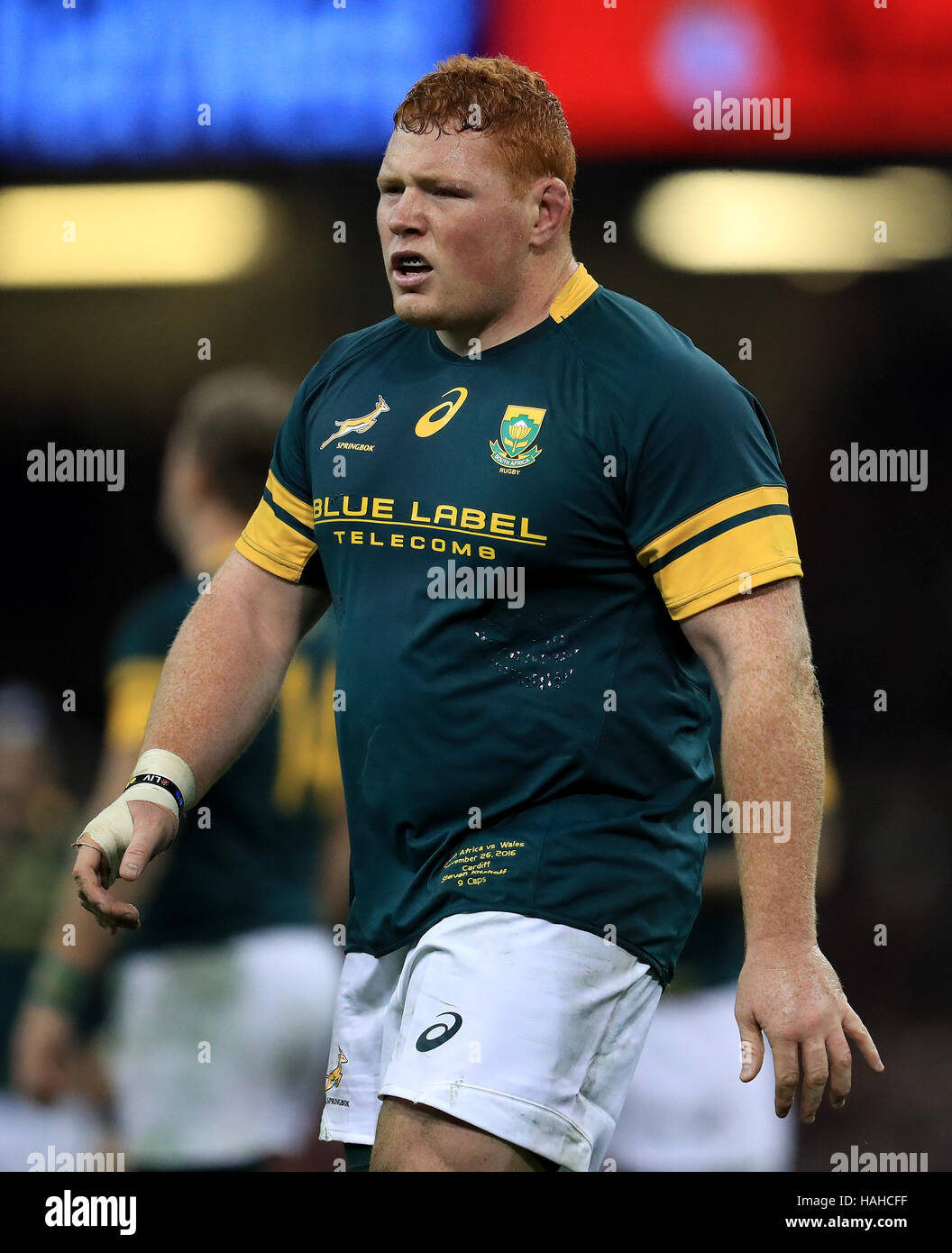 Steven Kitshoff High Resolution Stock Photography and Images - Alamy