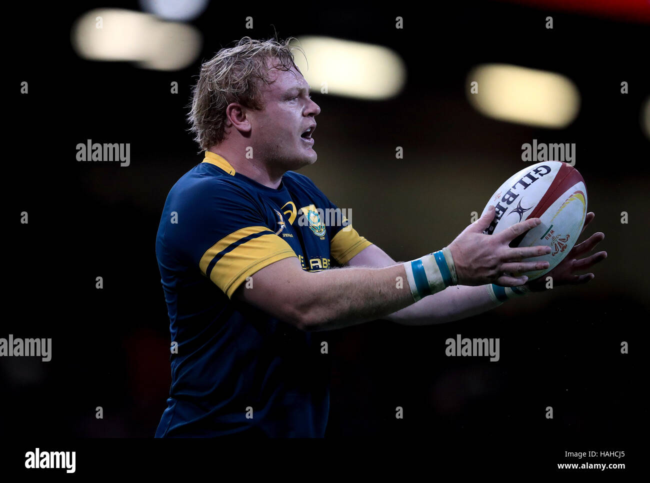 Adriaan Strauss, South Africa Stock Photo - Alamy