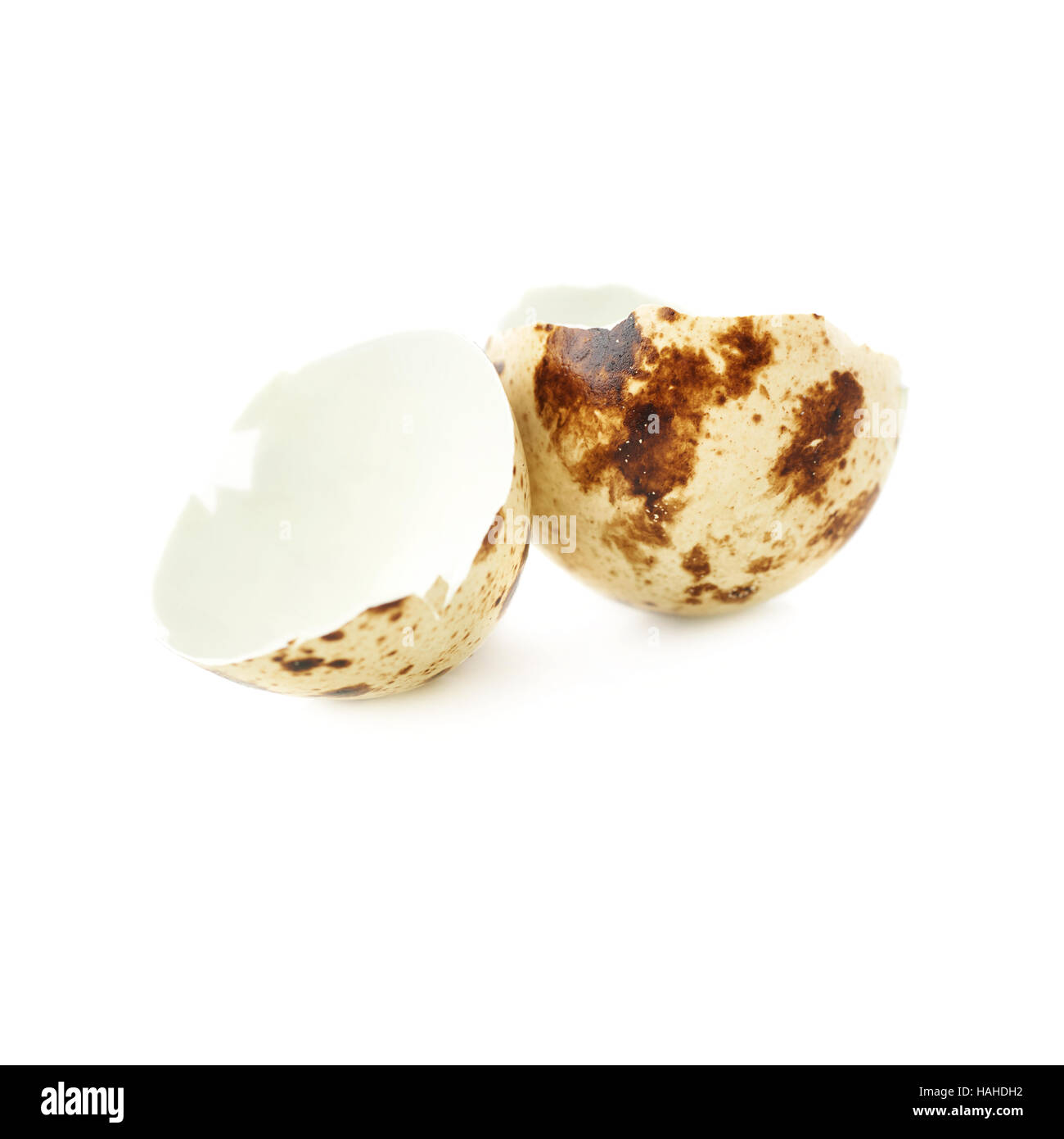 Quail egg shell cracked and isolated over white background Stock Photo ...