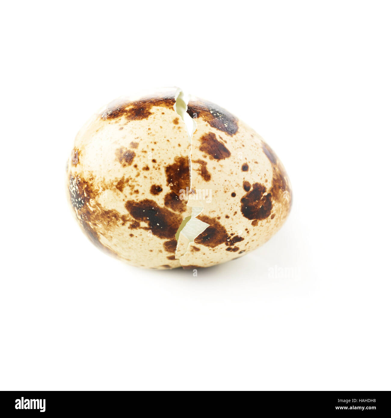 Quail egg shell cracked and isolated over white background Stock Photo ...