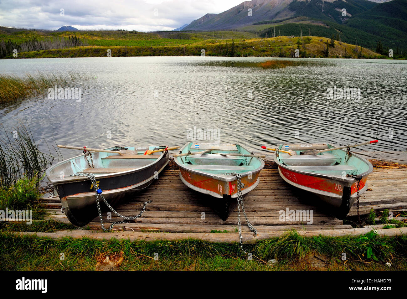 Three row boats on Talbot lake in Jasper National Park Alberta Canada ...
