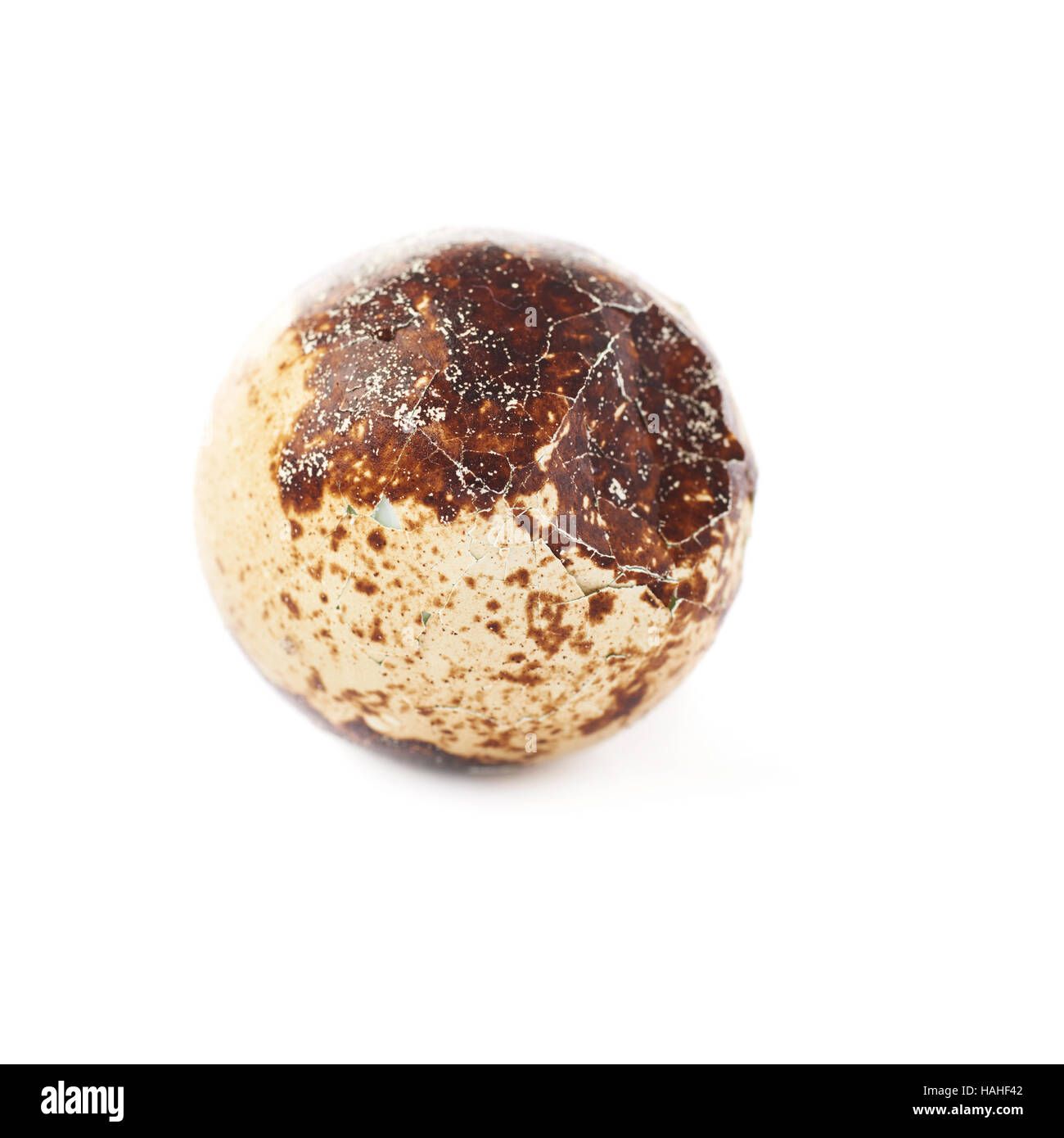 Single quail egg isolated over white background Stock Photo - Alamy